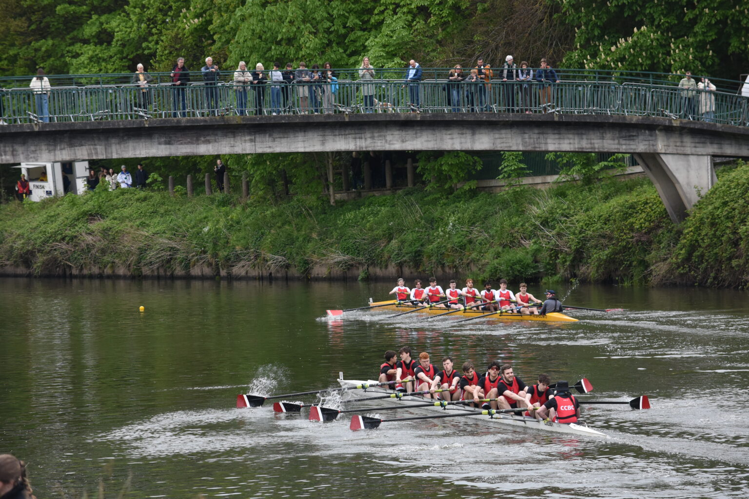 Durham City Regatta 2024 – Durham Amateur Rowing Club